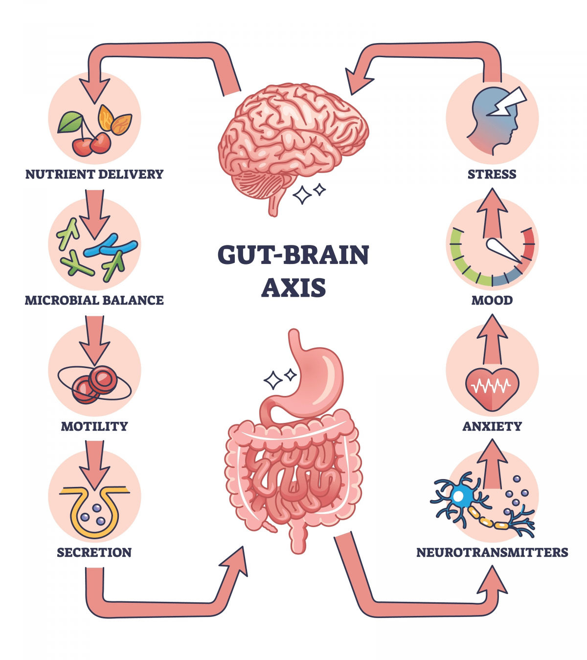 The Gut-Brain-Skin Connection: How to Heal Your Gut